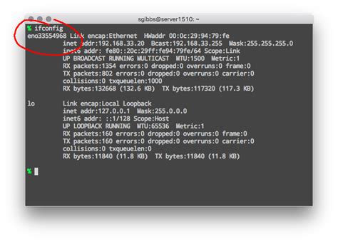 Ubuntu Network Interface Name Change