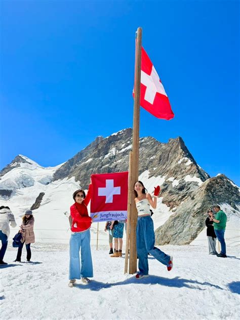 스위스 융프라우 여행 Vip 패스 할인 신라면 쿠폰 날씨 산악기차 초콜릿 준비물 네이버 블로그
