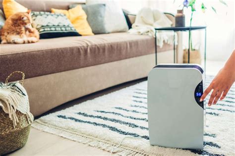 How To Lower Humidity In Your House Ways To Reduce Humidity Weather Radio Review