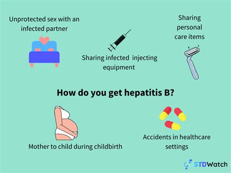 What Is Hepatitis B