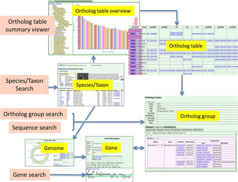 Interfaces For Searching And Browsing Mbgd Interfaces Are Shown In The Download Scientific