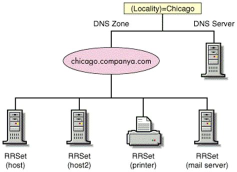 Novell Documentation DNS DHCP DNS Within EDirectory