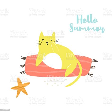 귀여운 손으로 그린 고양이 해변에 여름 시간입니다 고립 된 스칸디나비아 만화 그림입니다 가축에 대한 스톡 벡터 아트 및 기타 이미지 Istock