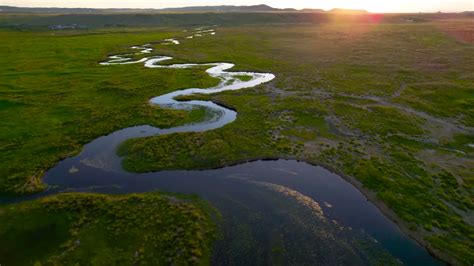 Coco Rosa On Linkedin The Point Of Life Is To Come And Experience The Beauty Of The World To