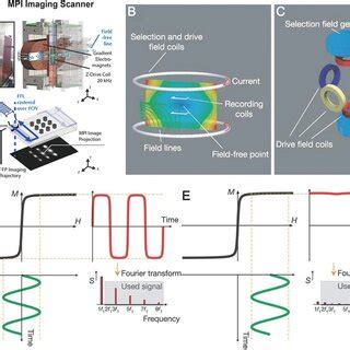 Magnetic Particle Imaging From Tracer Design To Biomedical Applications In Vasculature