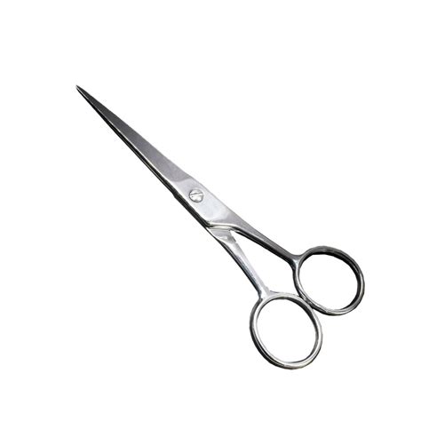 Stainless Steel Sheers Beautsome