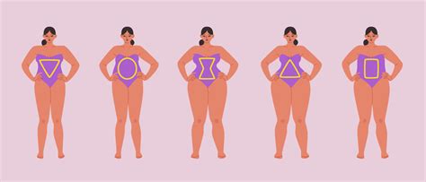 Full Female Body Types Isolated Curvy Women Stand In A Row In Purple