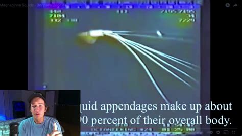 Discovering The Magnapinna Squid A Deep Sea Wonder Tiktok
