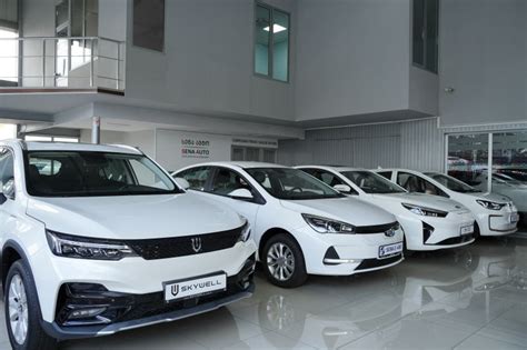 ელექტრო მანქანის ყიდვის დროა სენა ავტოს და პროკრედიტ ბანკს შორის ურთიერთთანამშრომლობის