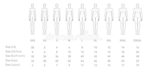 Fashion Template Curvy Women Stock Illustrations 57 Fashion Template