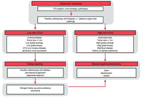 Common Diagnostic Algorithm From Workup Risk Stratification To The Download Scientific Diagram