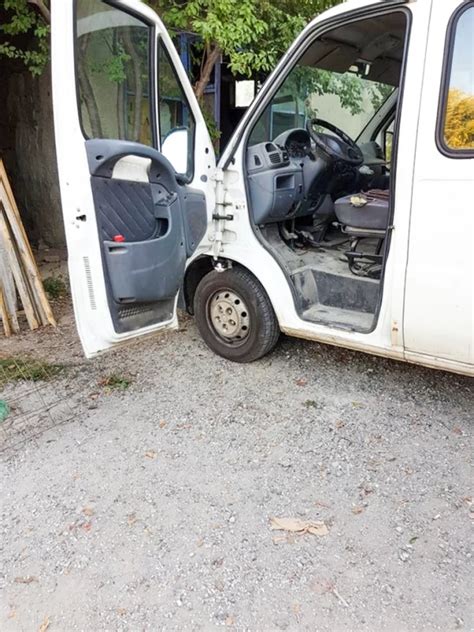 اگر ادعا میکنید تیز بین هستید ،با پیدا کردن ۲۵ گربه پنهان در این تصاویر