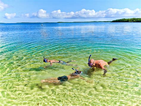 Glass Bottom Boat Tours At Pennekamp State Park On Key Largo