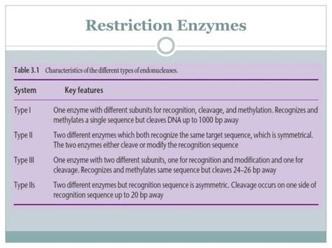 Restriction Modification System Types Of Restriction Enzymes Pptx