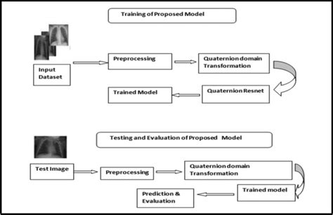 Pneumonia Diagnosis Model Proposed In [59] Download Scientific Diagram