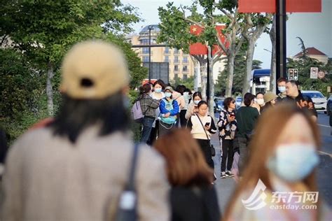 为丫丫特设隔离检疫场所上海动物园已备足竹子和辅食