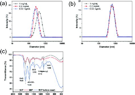 Hydrodynamic Particle Size Of MIP A And NIP B Measured Using DLS In
