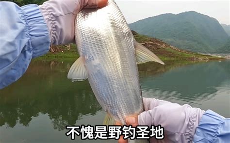 探钓皂市水库啦 小昕去钓鱼 小昕去钓鱼 哔哩哔哩视频