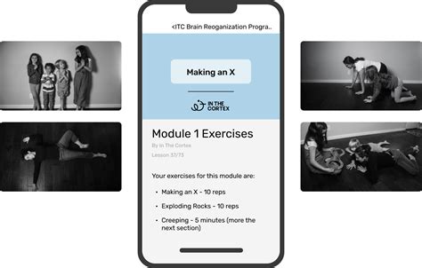 Transform Your Life Brain Reorganization Program