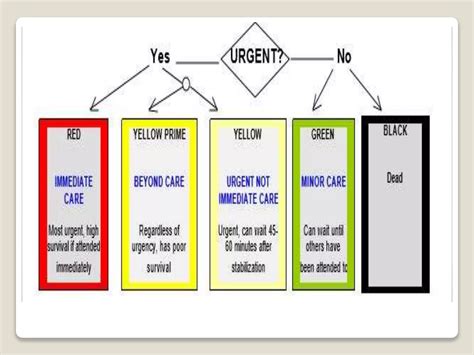 Triage In Disaster Management Pptx First Aid Injuries