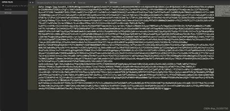 20220208 Ctf Misc Buuctf Base64转图片ctf Base64图片解码 Csdn博客