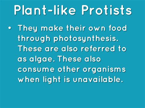 Protists By Alananicole