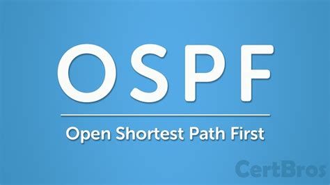Understanding Ospf A Comprehensive Guide To The Open Shortest Path