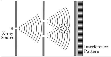 Interference Pattern Jester In The Court