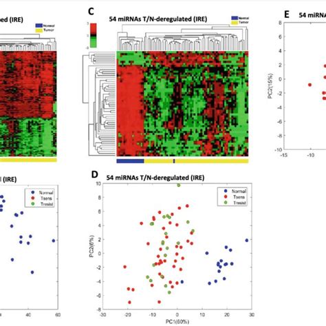 Dimensionality Reduction Analysis Of Differentially Expressed Mirnas