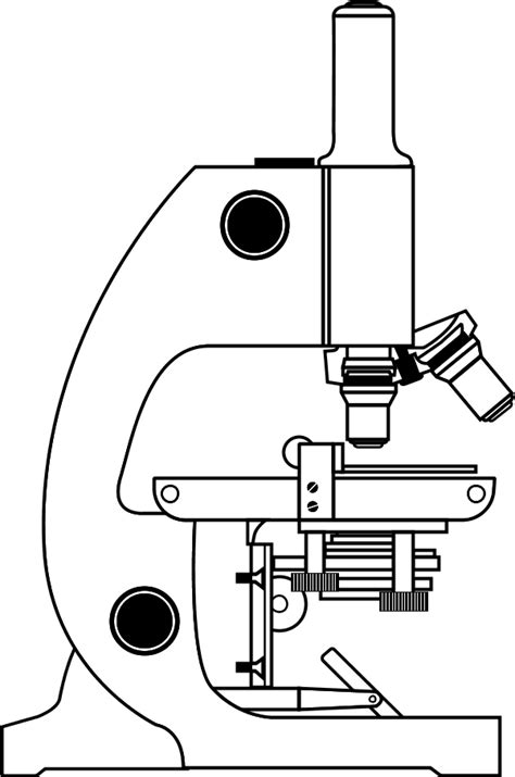 Picture Of Microscope 2119454 Clipart Library