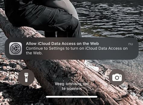 Ios 18 Db2 Icloud Web Acces Notification Keeps Returning Ip14 Pro Max Riosbeta