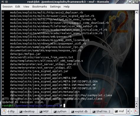 Data Mining Backtrack 4 For Buffer Overflow Return Addresses