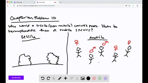 Solved The Phenotype Of An Early Stage Human Embryo Is Considered Sexually Indifferent Explain