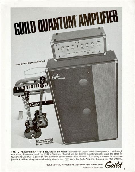 Guild 2x15 Bass Cab For Thunderstar Bass Amp