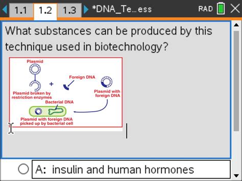 DNA RNA And Protein Synthesis Assessment