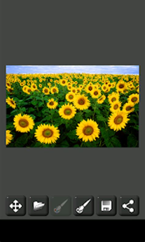 Image Decolorizer Apk For Android Download