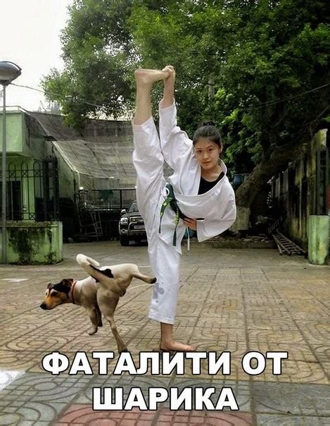 Подборка интересных и забавных картинок 120 фото