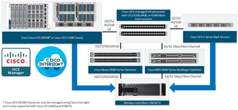 Flexpod Datacenter With Cisco Ucsm M6 Vmware Vsphere 8 And Netapp