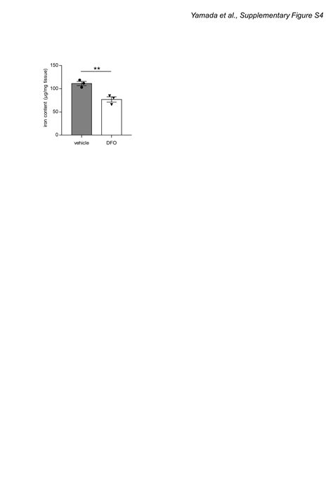Ferroptosis Driven By Radical Oxidation Of N Polyunsaturated Fatty Acids Mediates
