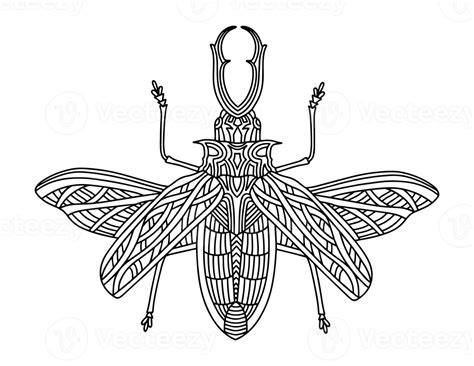 Bug Linear Illustration Png 20481522 PNG