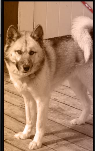 An Overview Of Shadermask According To Official Documentation By