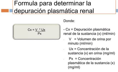 Fichas De Aprendizaje Clase Anatom A Y Fisiolog A Clase
