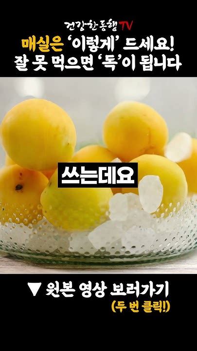 매실 이렇게 드세요 제대로 먹으면 보약 잘 못 먹으면 독이 됩니다 매실청 매실효능 건강정보 건강정보 건강생활