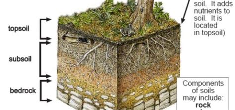 Top Soil Layers Science Online