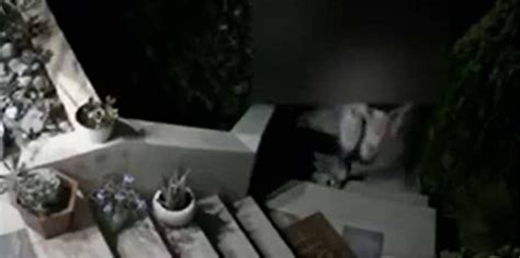 Ηράκλειο: Μπήκε στην αυλή γνωστού παιδιάτρου για να κλέψει το… χαλάκι ...