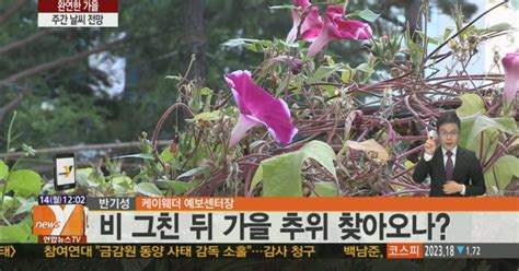 청명한 가을 하늘한 주간 날씨 전망