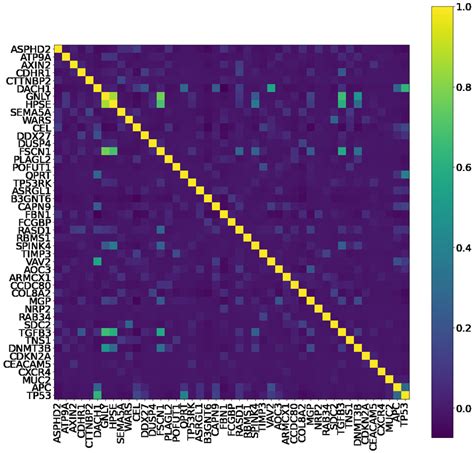 Fig D 2 Summary Of Gene Co Expression In Single Cells Each Cell In Download Scientific