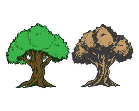 Tree Vector Illustration Line Art 36593950 Vector Art At Vecteezy
