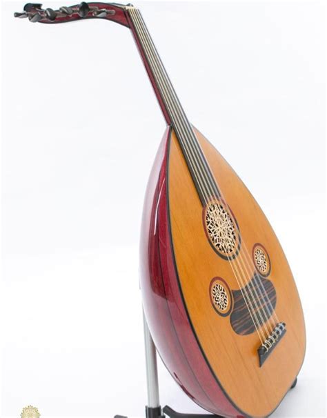 All Type Of Ouds In One Place Types Of Oud Instruments Oud Musical