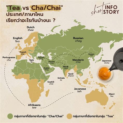 [infostory] Tea Vs Cha Chai ภาษาไหน เรียกว่าอะไรกันบ้างนะ ☕🫖 บาง